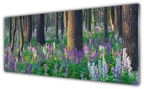 akrylový obraz Les Květiny Příroda 125x50 cm
