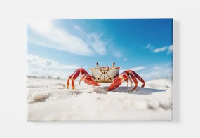 Obraz na plátně - červený krab na písečné pláži FeelHappy.cz Velikost obrazu: 150 x 100 cm
