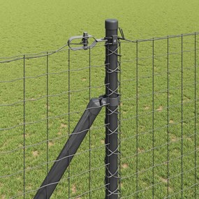 Evropský plot se hroty 10 x 1,6 m Ocel potažená PVC Šedá 3350633