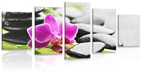 5-dílný obraz wellness zátiší s fialovou orchidejí - 200x100 cm