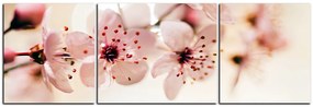 Obraz na plátně - Malé květy na větvi - panoráma 5173C (120x40 cm)