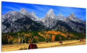 Panorama krajiny - obraz (100x40cm)