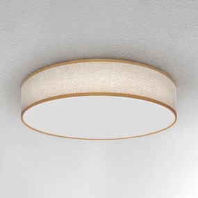 Brilagi - LED Stmívatelné stropní svítidlo CARMEN LED/48W/230V 3000-6500K + DO