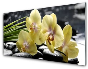 akrylový obraz Květiny Rostlina Příroda 100x50 cm