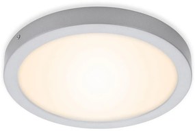 Briloner 7141-014 - LED Stropní svítidlo FIRE LED/21W/230V 3000K