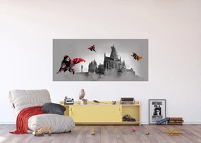 Dětská vliesová fototapeta na zed' Harry Potter Famfrpálové Trio | 170 x 75 cm | DFTDNH5517