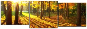 Obraz na plátně - Podzimní les - panoráma 5176D (120x40 cm)