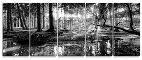 Malvis ® Obraz černobílá pohoda lesa Velikost: pětidílný obdélník - 100x45 cm
