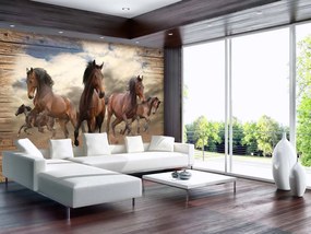Fototapeta - Cval koně na dřevěných prken (152,5x104 cm)