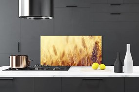 Skleněné obklady do kuchyně Pšenice Rostlina Příroda 140x70 cm