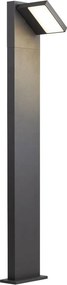LA 1002992 ABRIDOR POLE 100 Outdoor, stojací LED svítidlo, IP55, antracitové, 3000/4000K - BIG WHITE (SLV)