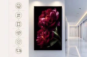 Sametová krása - obraz - Pivoňky v temně elegantním stylu 44 - 50 x 70 cm - 649 Kč
