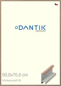 DANTIK rámeček 50x70 | ALU profil 6035 Dýha ořech raw (Plexi Čiré)
