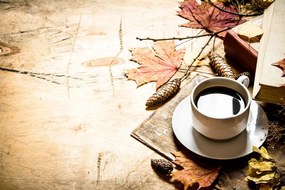 Samolepící fototapeta šálek kávy v podzimním nádechu - 225x150 cm