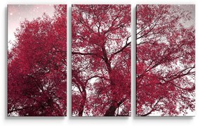 Sablio Obraz - 3-dílný Červený strom - 120x80 cm