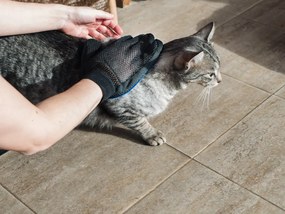 Vyčesávací masážní rukavice pro psa/kočku FUR, modrá