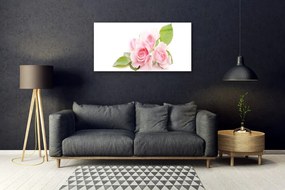 Obraz na skle Růže Květiny Příroda 125x50 cm