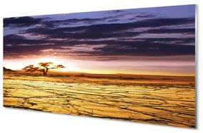 akrylový obraz Mraky strom nebe 140x70 cm