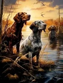 NORIMPEX Malování podle čísel Psi v mokřadech / 40x50 cm