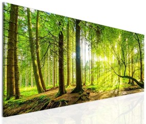 Obraz lesní úsvit II Velikost (šířka x výška): 55x25 cm