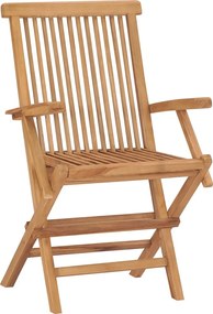 vidaXL Skládací zahradní židle 2 ks masivní teakové dřevo [315443]