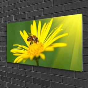Obraz na skle Vosa Květ Rostlina Příroda 100x50 cm