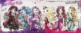 Postershop Fototapeta: Mattel Ever After High (5) - 104x250 cm