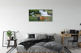 akrylový obraz tygr vodopád 100x50 cm