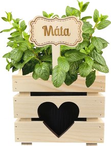 AMADEA Dřevěný zápich - cedulka na bylinky Máta, výška 20 cm, český výrobek
