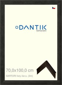 DANTIK rámeček 70x100 | SARTORI listy čer.s. (Plexi Čiré)