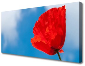 Obraz na plátně Tulipán 125x50 cm