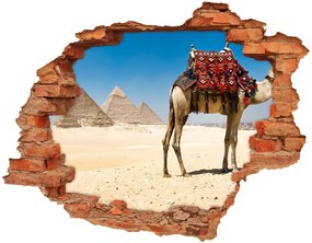 Wallmuralia Fotoobraz díra na stěnu Velbloud Káhira 90x70 cm