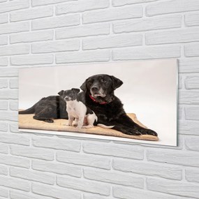 akrylový obraz ležící psi 120x60 cm