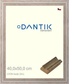 DANTIK rámeček 40x50 | LYON šedá (Plexi Čiré)