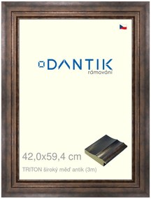 DANTIK rámeček 42x59,4 | TRITON široký měď antik (Plexi Čiré)