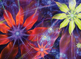 Malvis Tapeta abstraktní květy Vel. (šířka x výška): 216 x 140 cm