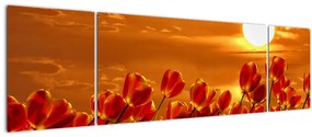 Obraz rozkvetlého lánu s tulipány (170x50 cm)