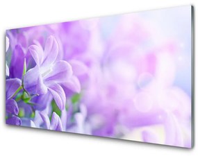 Obraz na skle Květiny Rostlina Příroda 140x70cm