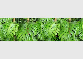 Samolepící bordura na zeď Zelené Listy | 5 m x 13.8 cm | DWB8219