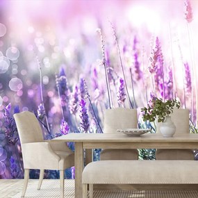Samolepící fototapeta kouzelné květiny levandule - 225x150 cm