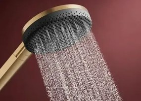 Hansgrohe Raindance Alive Select S - Set sprchové hlavice | tyče a had