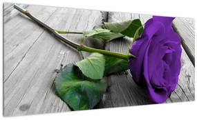 Obrazy květin - růže (100x40cm)