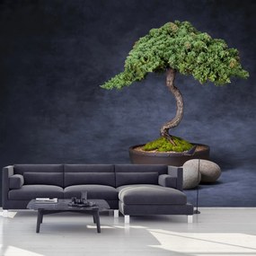 Fototapeta - Bonsai (245x170 cm)