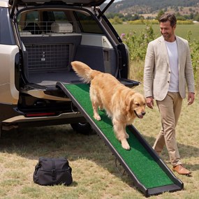 Rampa pro psa Wiltec – 155 × 40 cm, 90 kg (65966)
