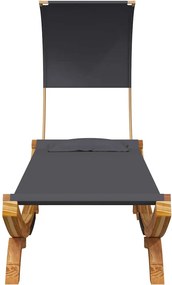 Zahradní lehátko a stříška 100x200x126cm ohýbané dřevo antracit 313946