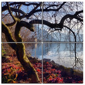 Obraz na plátně - Podzim u jezera - čtverec 3198E (60x60 cm)