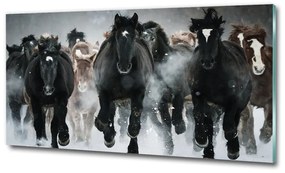 Wallmuralia Moderní skleněný obraz z fotografie Koně ve cvalu 100x50