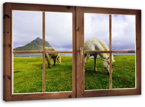 Gario Obraz na plátně Okno - pohled na koně Rozměry: 60 x 40 cm