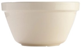 Bílá kameninová mísa Mason Cash Basin, ⌀ 22 cm