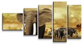 Sablio Obraz - 5-dílný Slon Africký - 100x60 cm
